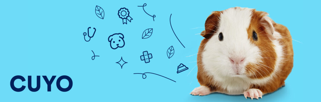 Cuyo archivos - Blog Petco México