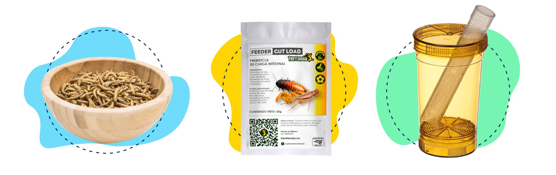 Todo lo que debes saber sobre los insectos como alimento - Blog Petco ...