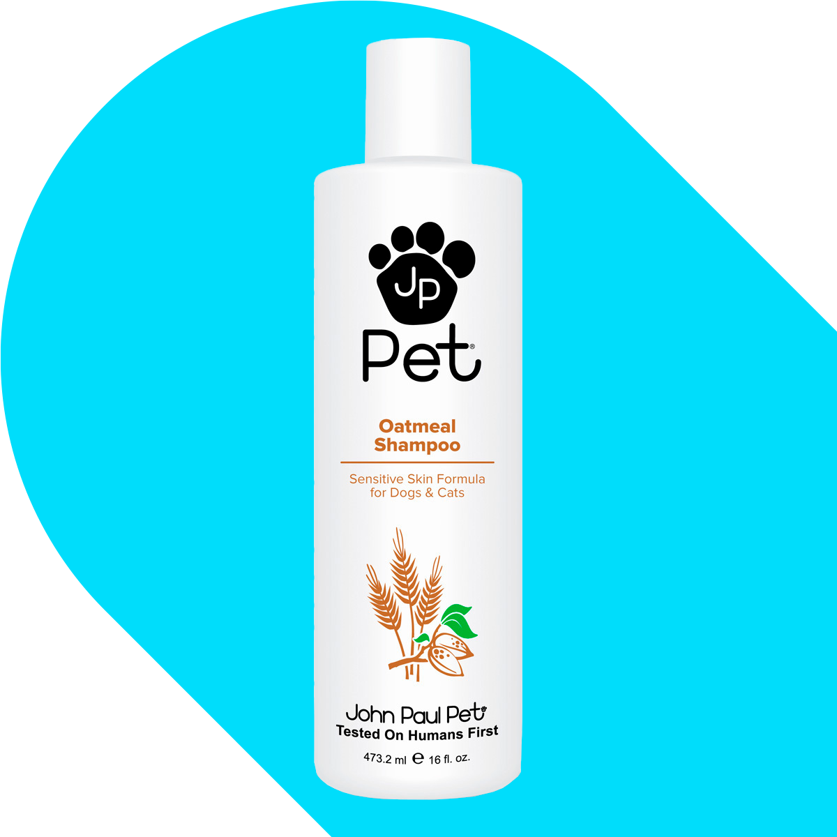 Guía de los Pug: Consejos y Cuidados l Blog Petco MX