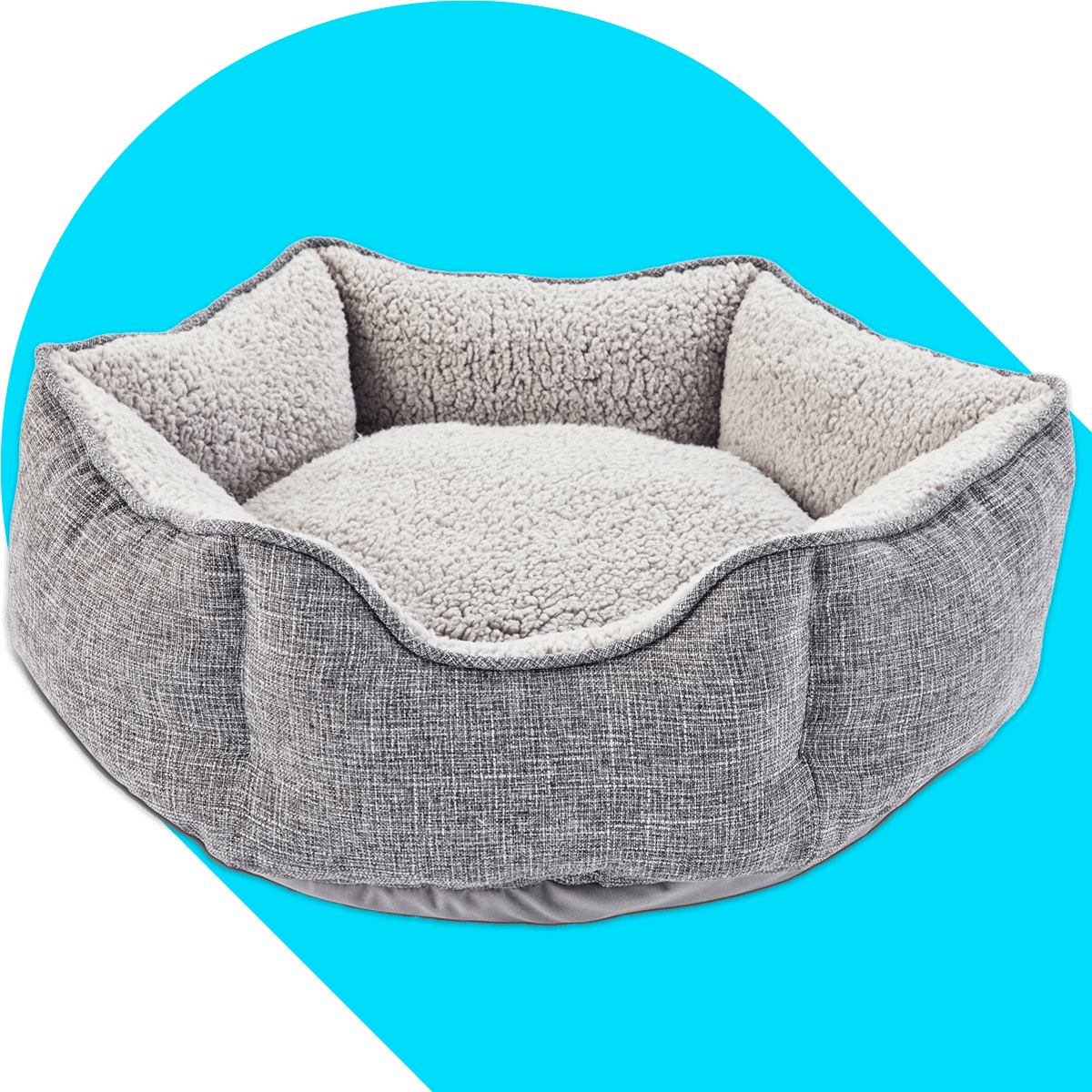 Guía de los Pug: Consejos y Cuidados l Blog Petco MX