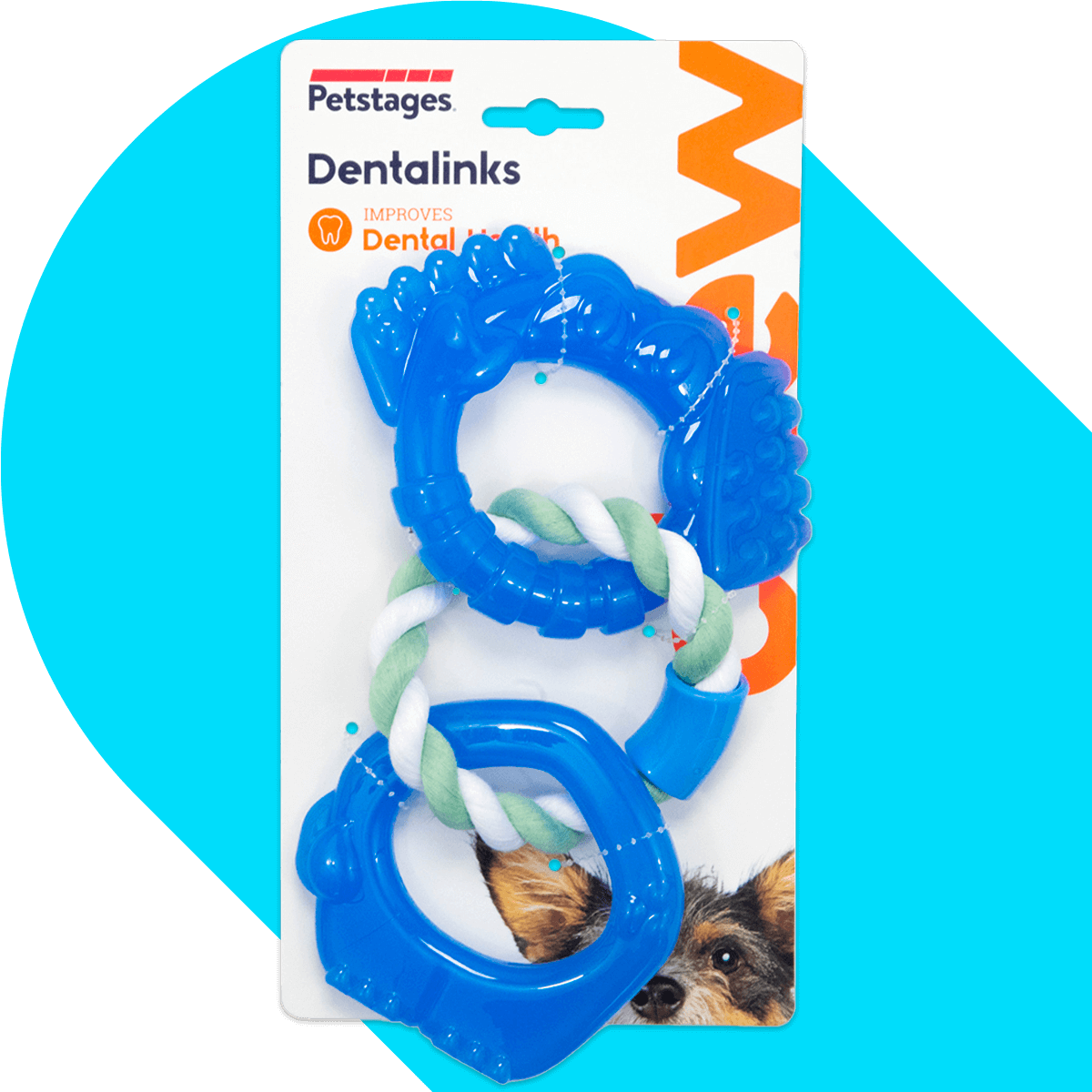 Guía de los Pug: Consejos y Cuidados l Blog Petco MX