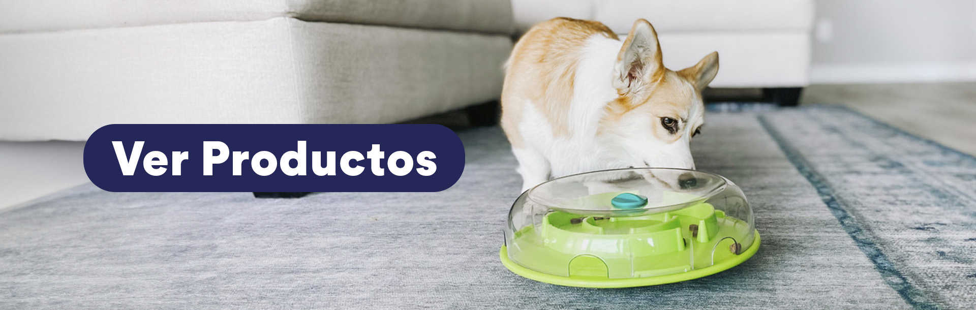 Descubre lo nuevo de Outward Hound - Blog Petco México